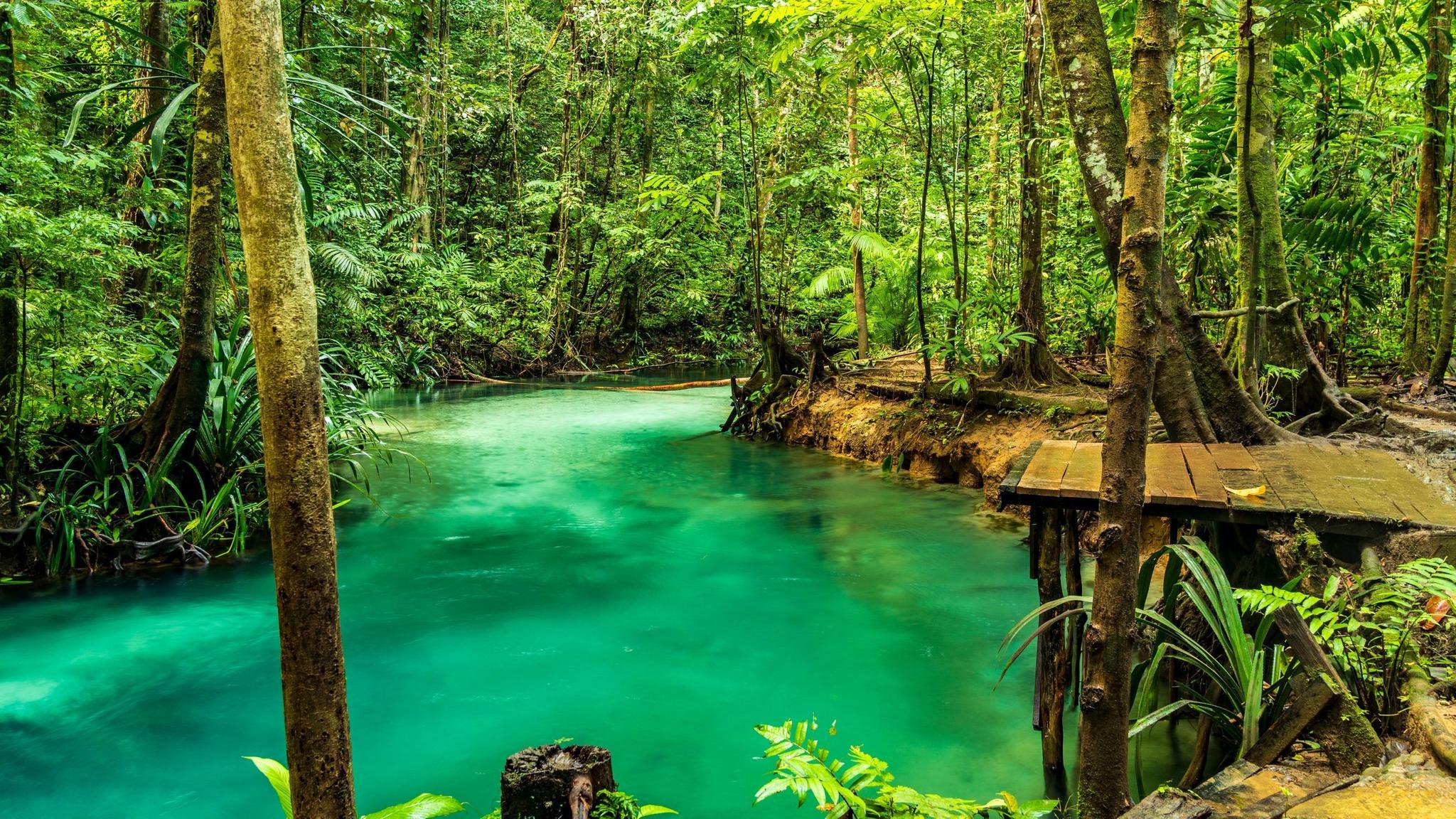 Raja Ampat Piyanemo Kalibiru | Golden Rama Tours and Travel