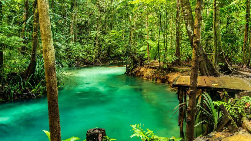 Raja Ampat Piyanemo Kalibiru | Golden Rama Tours and Travel